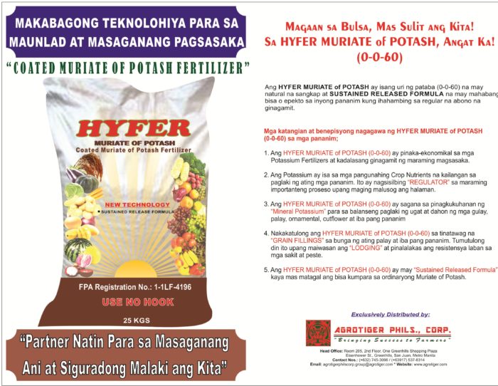 6 Hyfer Potash Fertilizer Flyer | Agrotiger Philippines Corporation